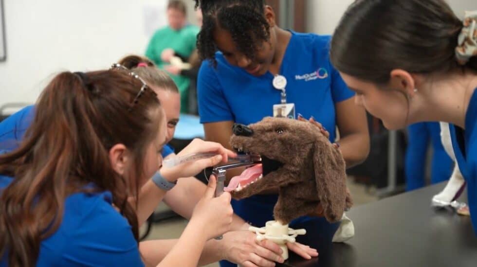 MedQuest | Dental/Medical, MERT, Nursing & Sonography School